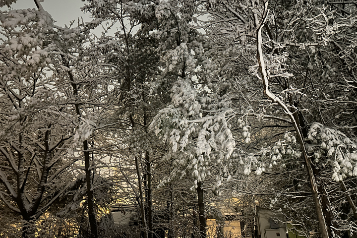 Morris County Under Winter Weather Advisory: Snowfall Expected with ...