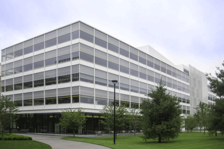 Novartis Announces 427 Layoffs Amid Strategic Restructuring and Patent ...