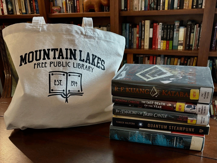 A Look Inside the Mountain Lakes Library Makerspace - Morris Focus