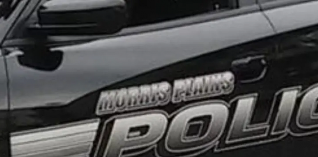 Home - Morris Focus